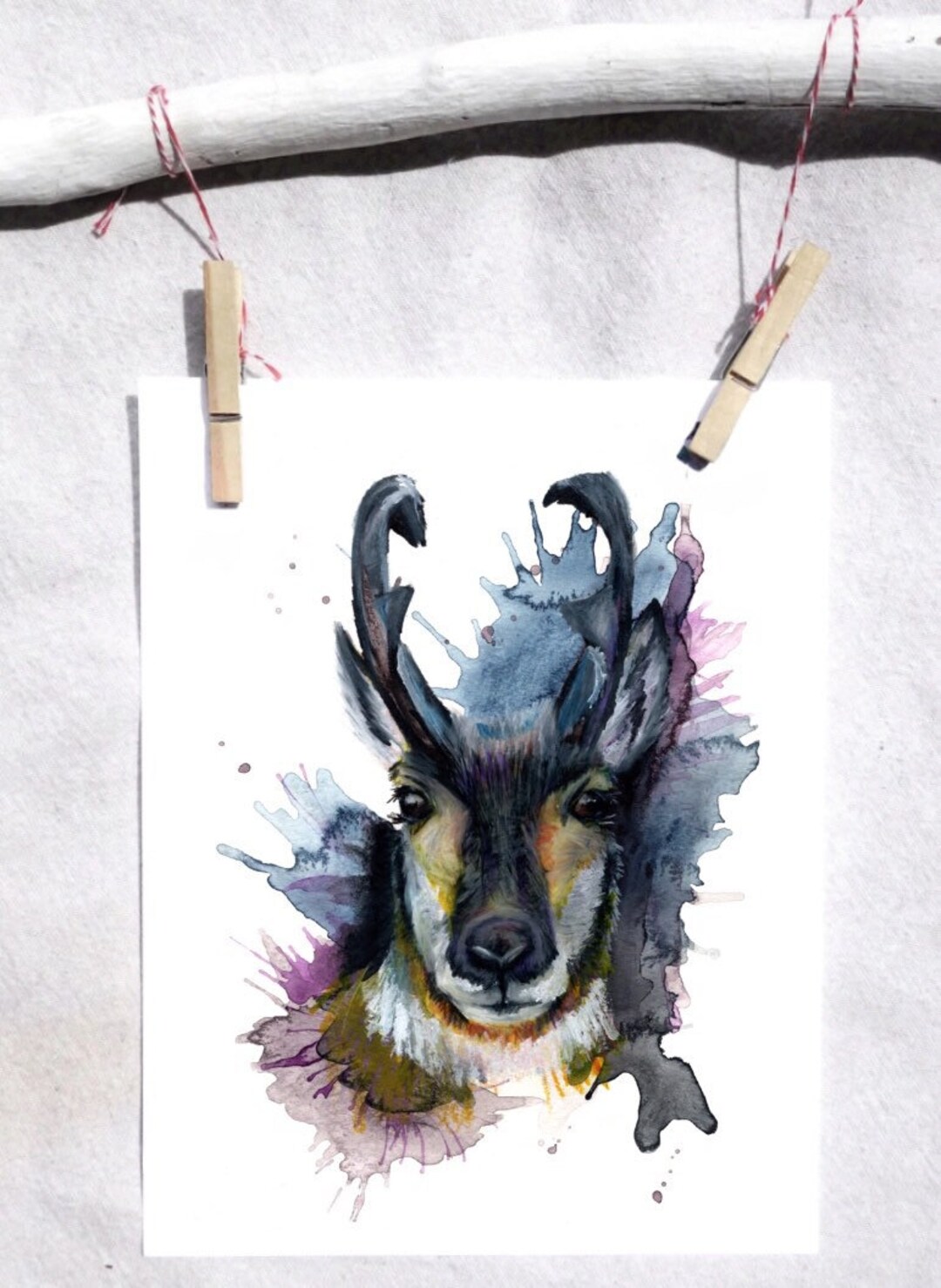 Pronghorn Antelope Art Print - Etsy