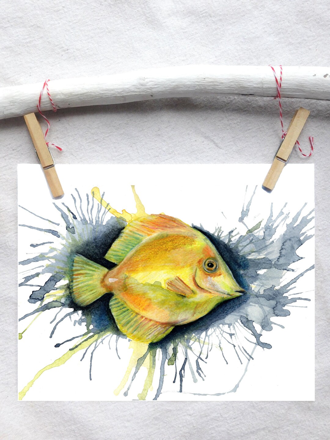 Ocean First Art Print | Reef Fish Art | Sea Life Art | Aquarium Fish ...