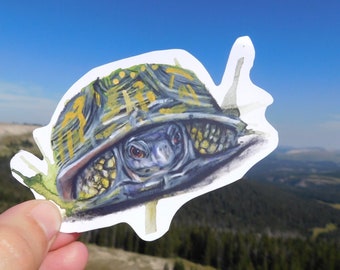 Angry Eastern Box Turtle Art Print of Original Watercolor - Etsy