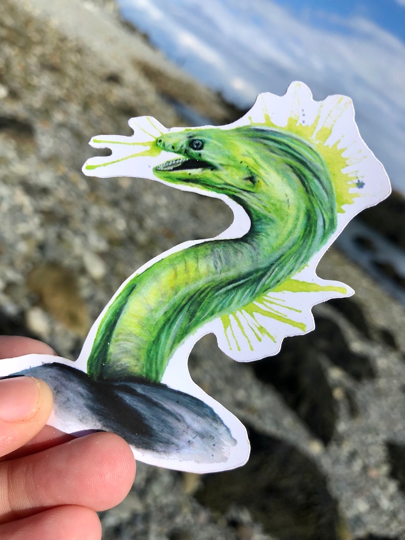 Green Moral Eel Sticker Moray Eel Art Print Reef Animal | Etsy