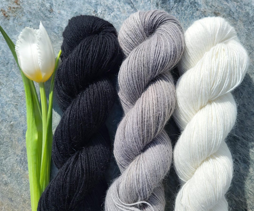 3x 100% Angora Wool Seidenhase, PURE 260m/50g, Supersoft Homegrown ...