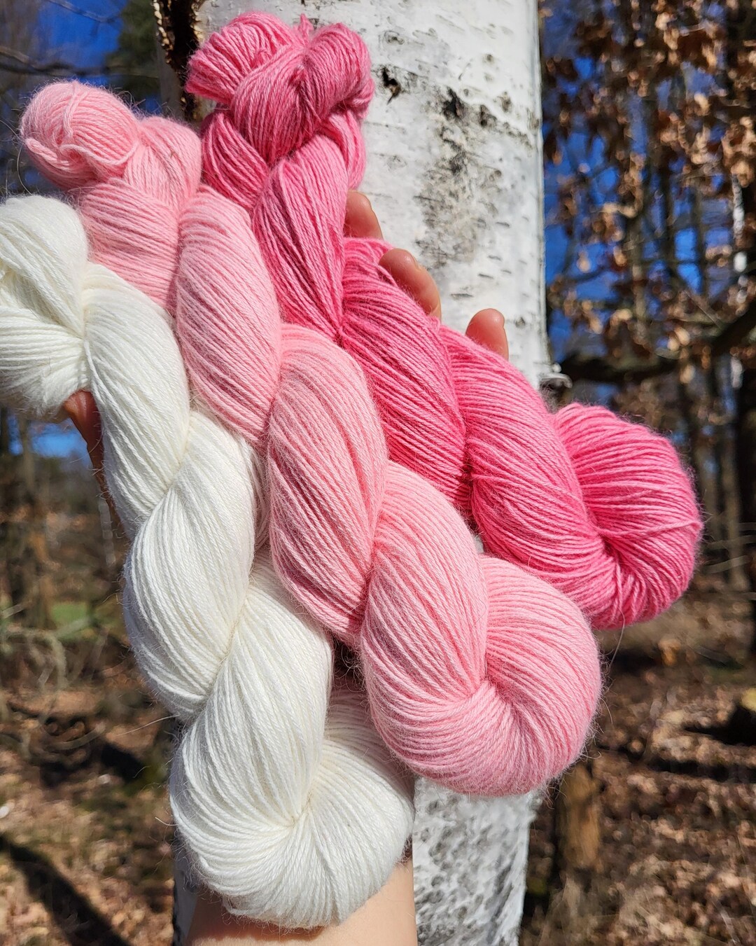 3x 100% Angora Wool Seidenhase, PURE 260m/50g, Supersoft Homegrown ...