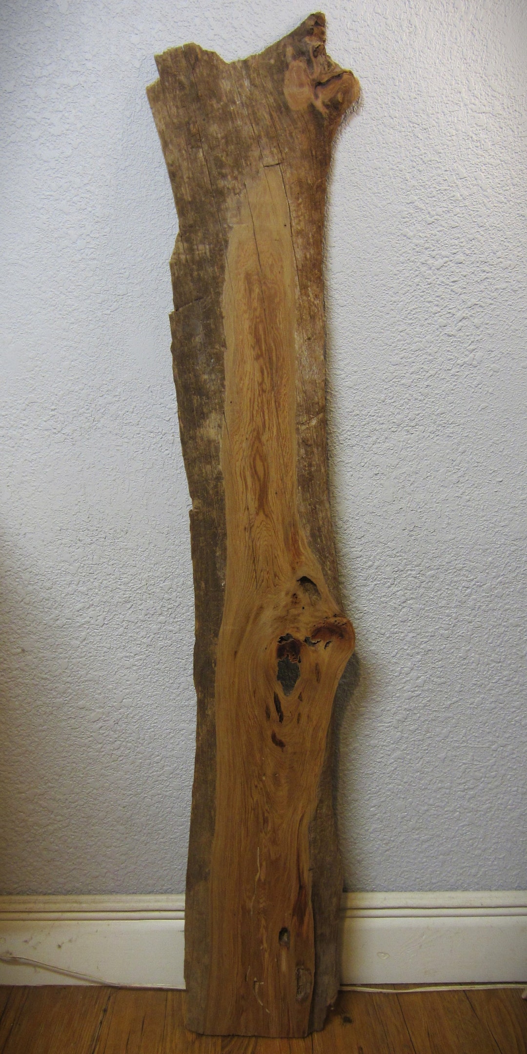 SHIPS FREE & FAST Pecky Cypress Taxidermy Sign Plaque Epoxy River Table ...