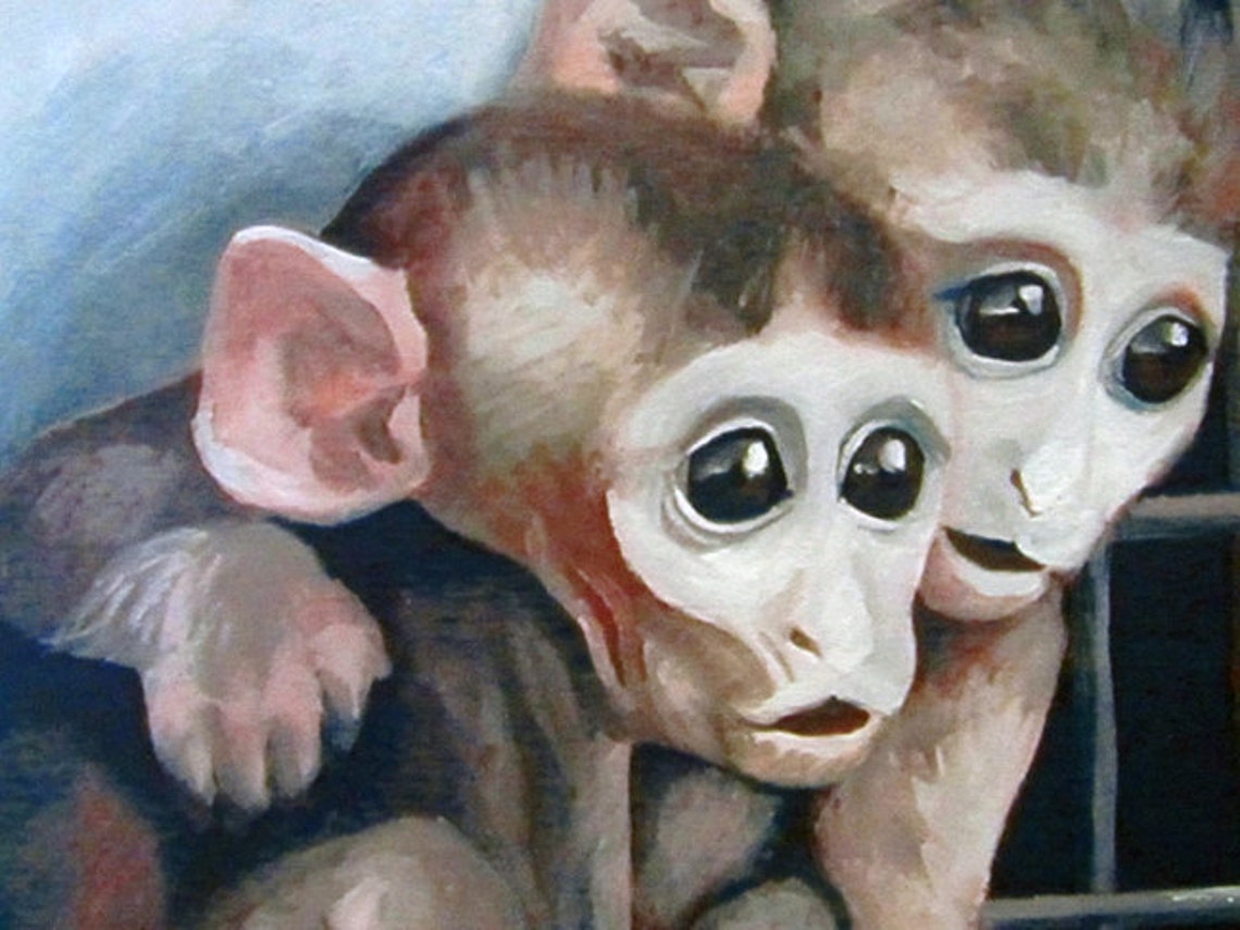 Signed fear Print. Animal Liberation Art. - Etsy