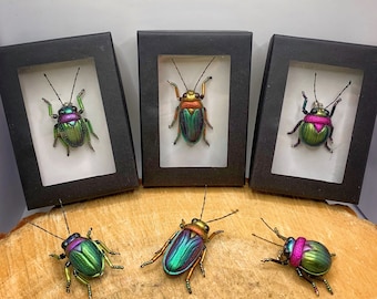 Beetle Tie Tack Dark Patina Insect Lapel Pin Brass Bug Hat Pin Creepy ...