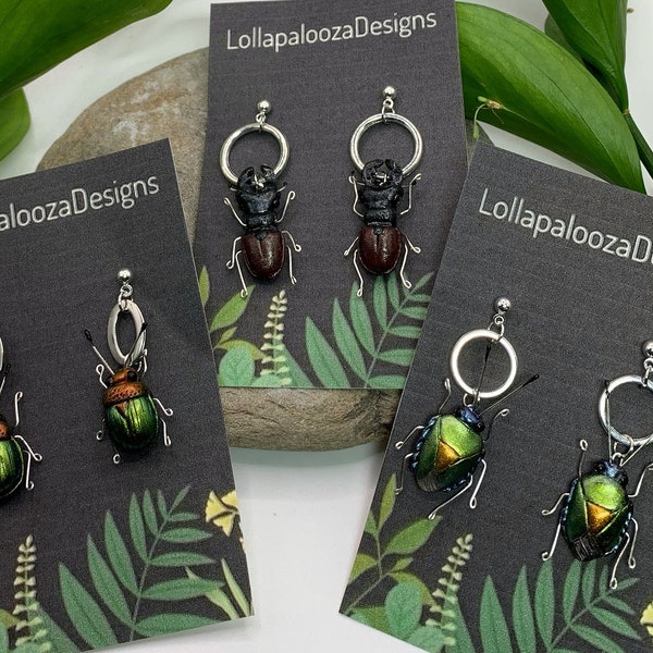 Beetle Earrings - Etsy
