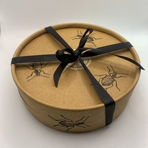 Entomology Beetle Pendant Necklace Hand Made - Etsy