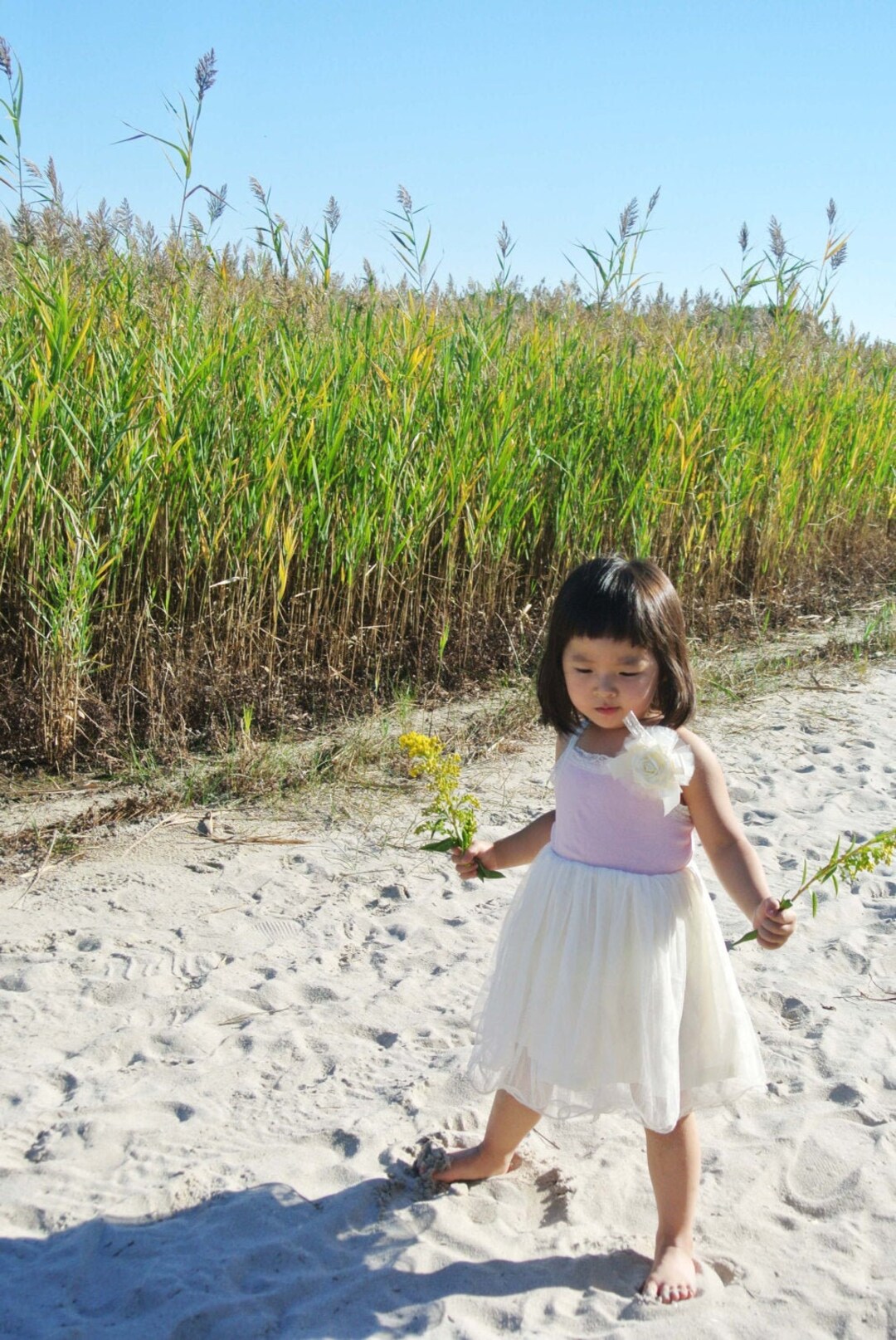 The Helen :2T Size White Pink Lace Tutu Pearl Necklace Dress - Etsy