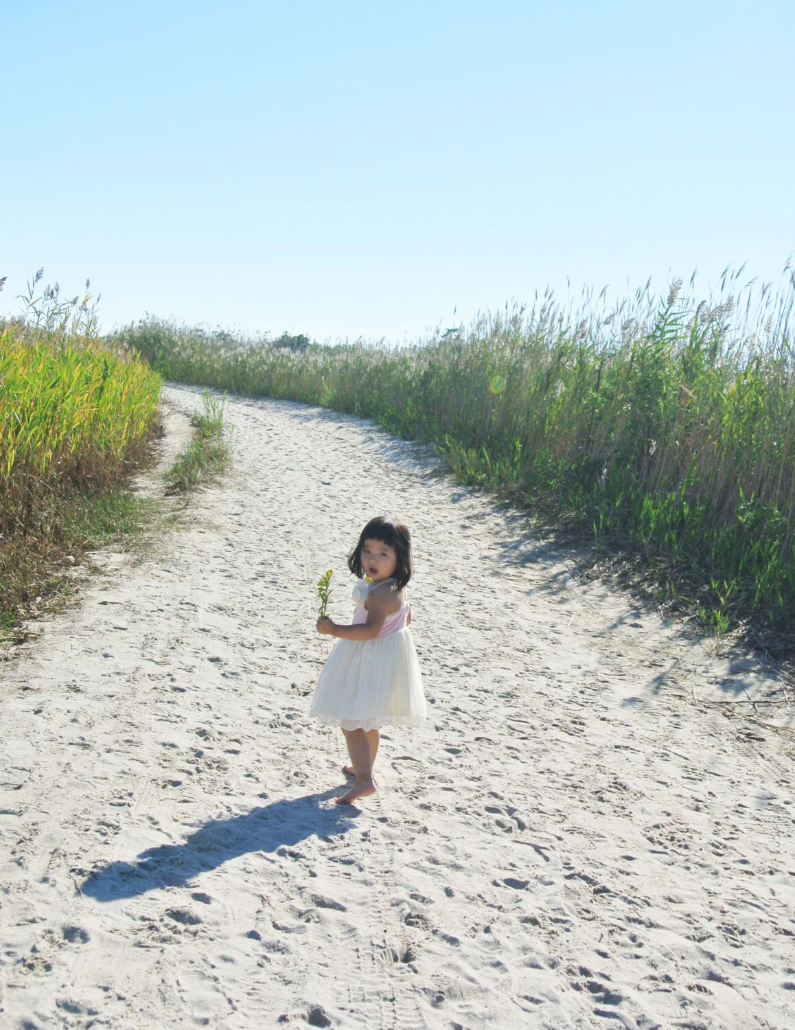 The Helen :5T Size White Pink Lace Tutu Pearl Necklace Dress | Etsy