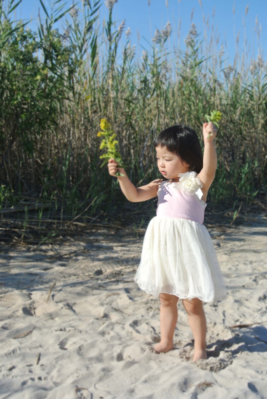 The Helen :4T Size White Pink Lace Tutu Pearl Necklace Dress - Etsy