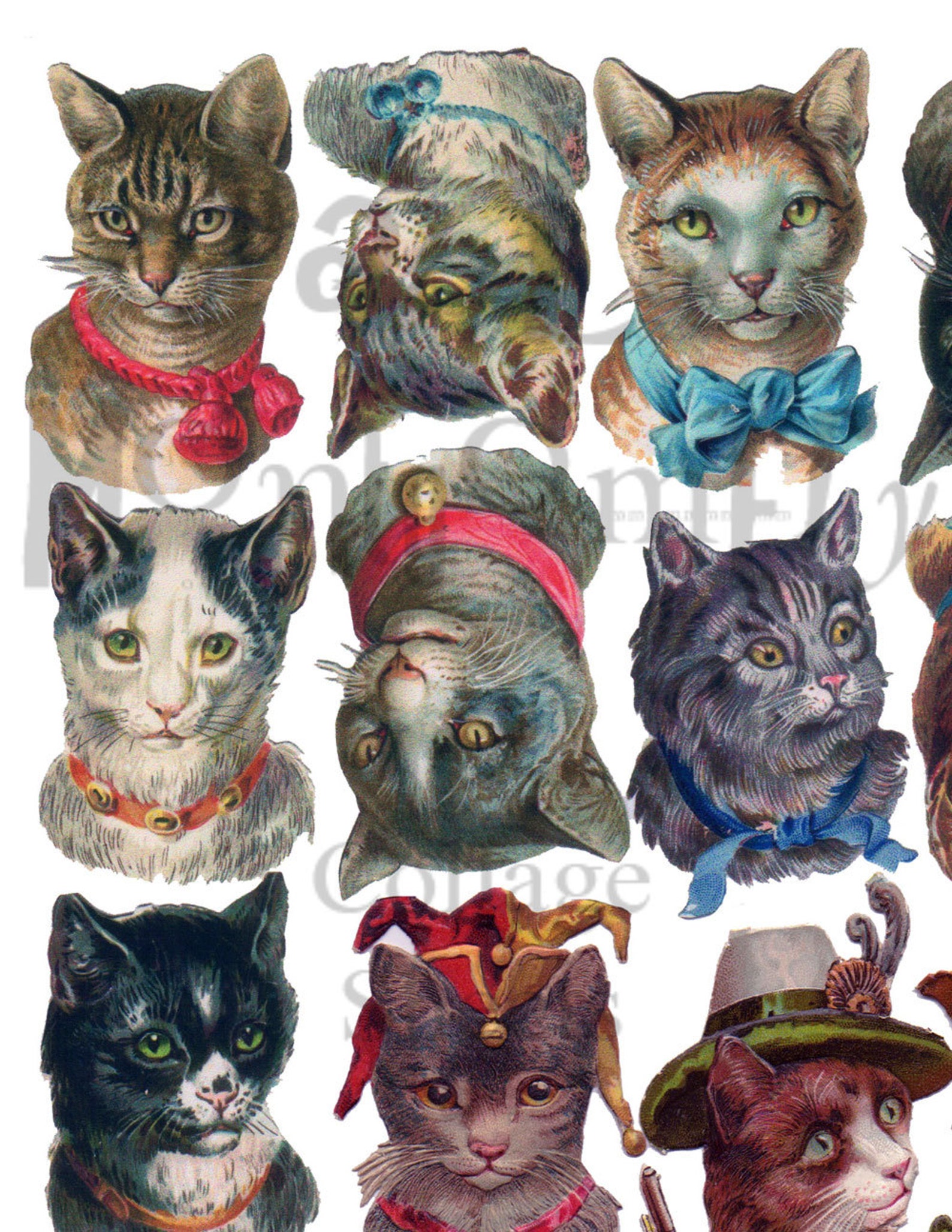 Large Cat Heads Number Digital Download Collage Sheet - Etsy