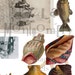 By the Sea Number 2 Digital Download Collage Sheet - Etsy