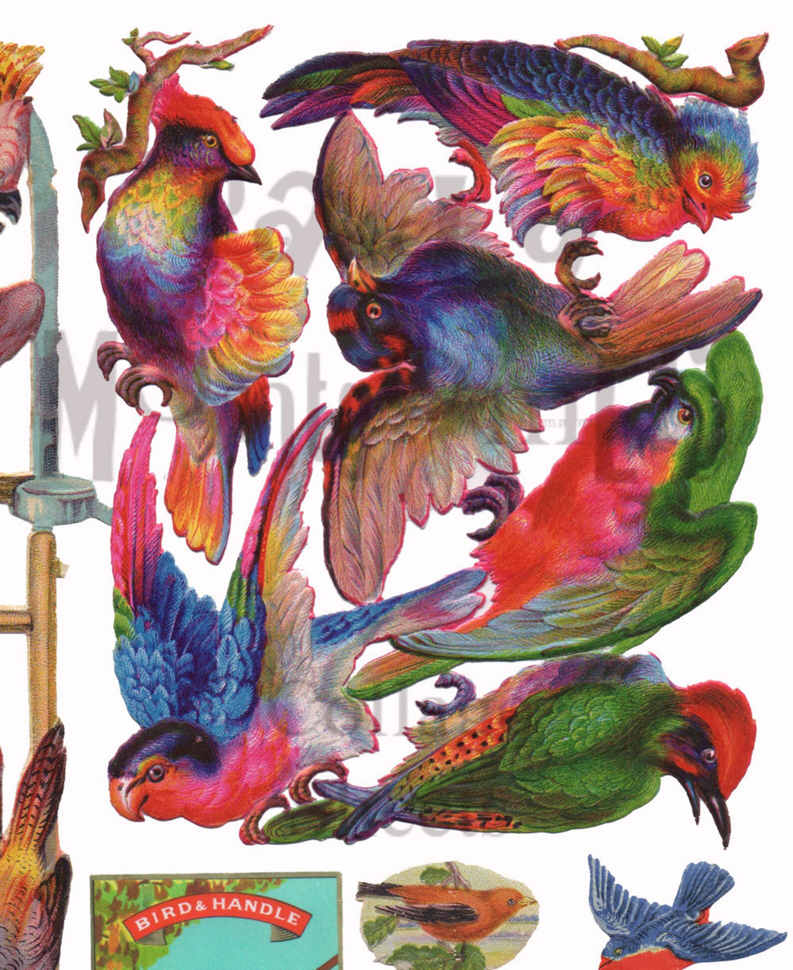 Birds Number 2 Digital Download Collage Sheet - Etsy