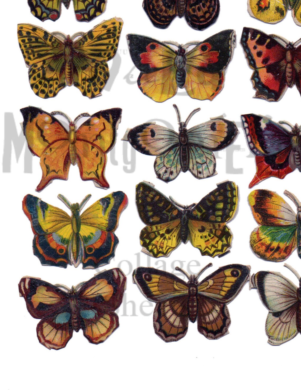 Butterflies Digital Download Collage Sheet - Etsy
