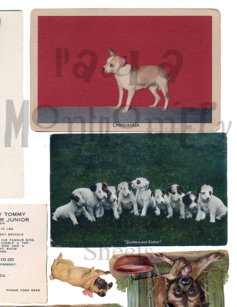 Dogs Number 2 Digital Download Collage Sheet - Etsy