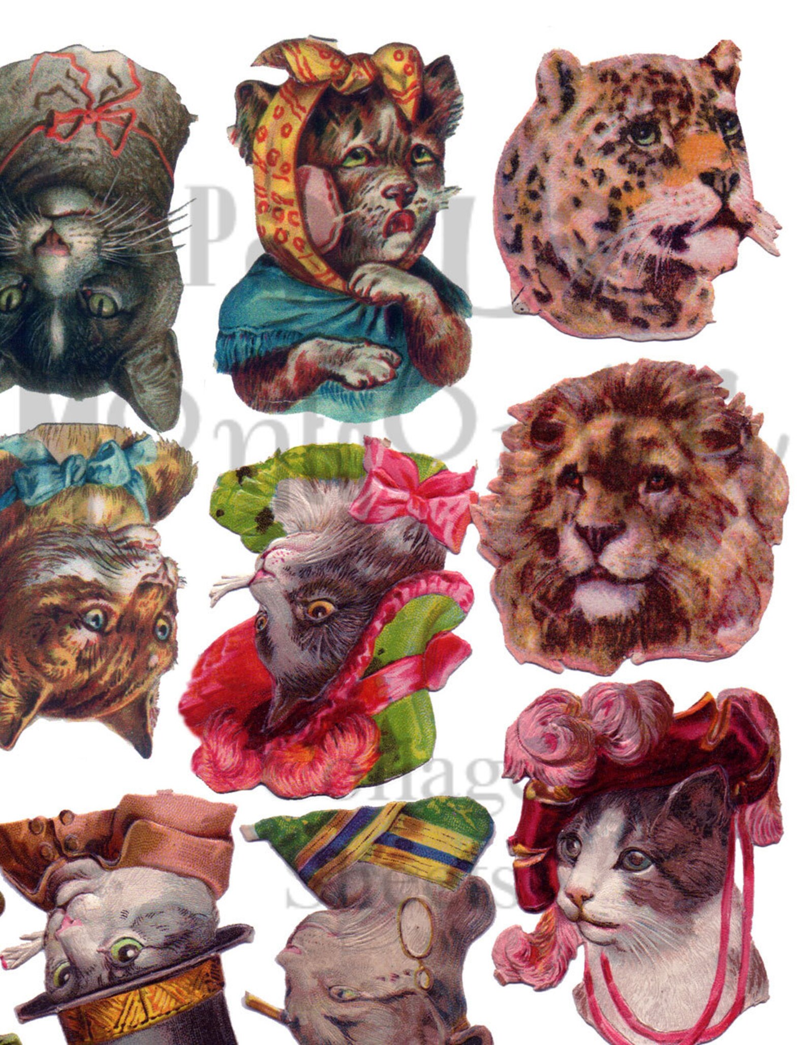Large Cat Heads Number Digital Download Collage Sheet - Etsy