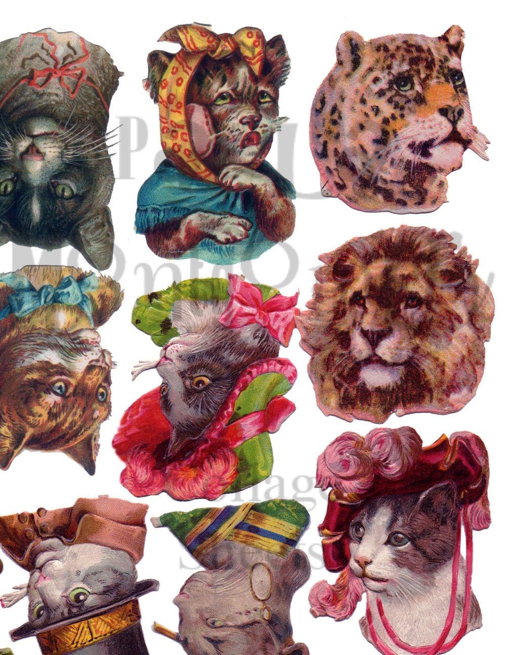 Large Cat Heads Number Digital Download Collage Sheet - Etsy