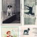Dogs Number 2 Digital Download Collage Sheet - Etsy