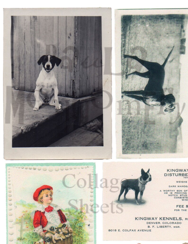 Dogs Number 2 Digital Download Collage Sheet - Etsy