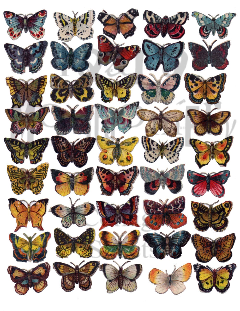 Butterflies Digital Download Collage Sheet - Etsy
