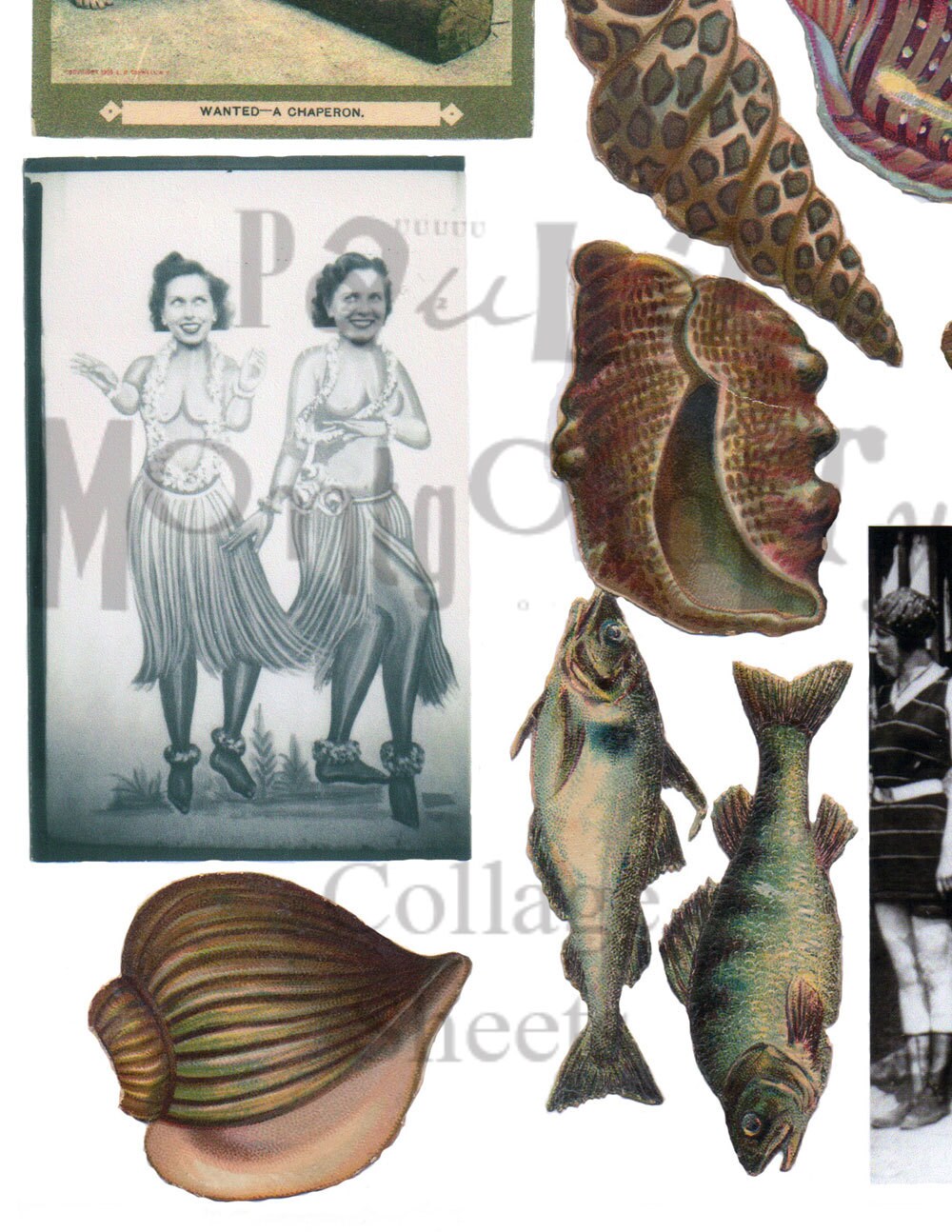 By the Sea Number 1 Digital Download Collage Sheet - Etsy