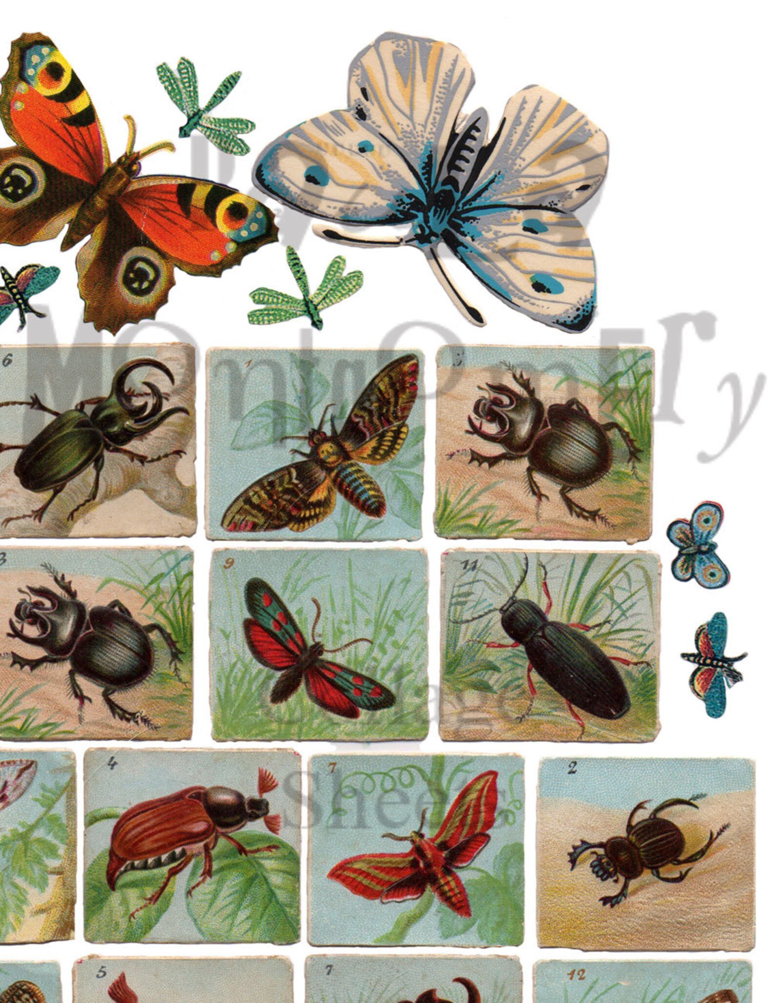 Insects Number 1 Digital Download Collage Sheet - Etsy