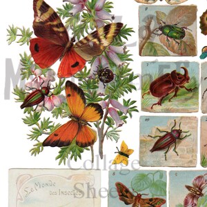 Insects Number 1 Digital Download Collage Sheet - Etsy