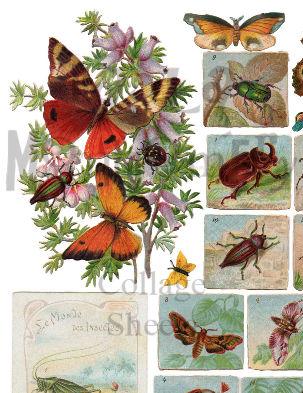 Insects Number 1 Digital Download Collage Sheet - Etsy