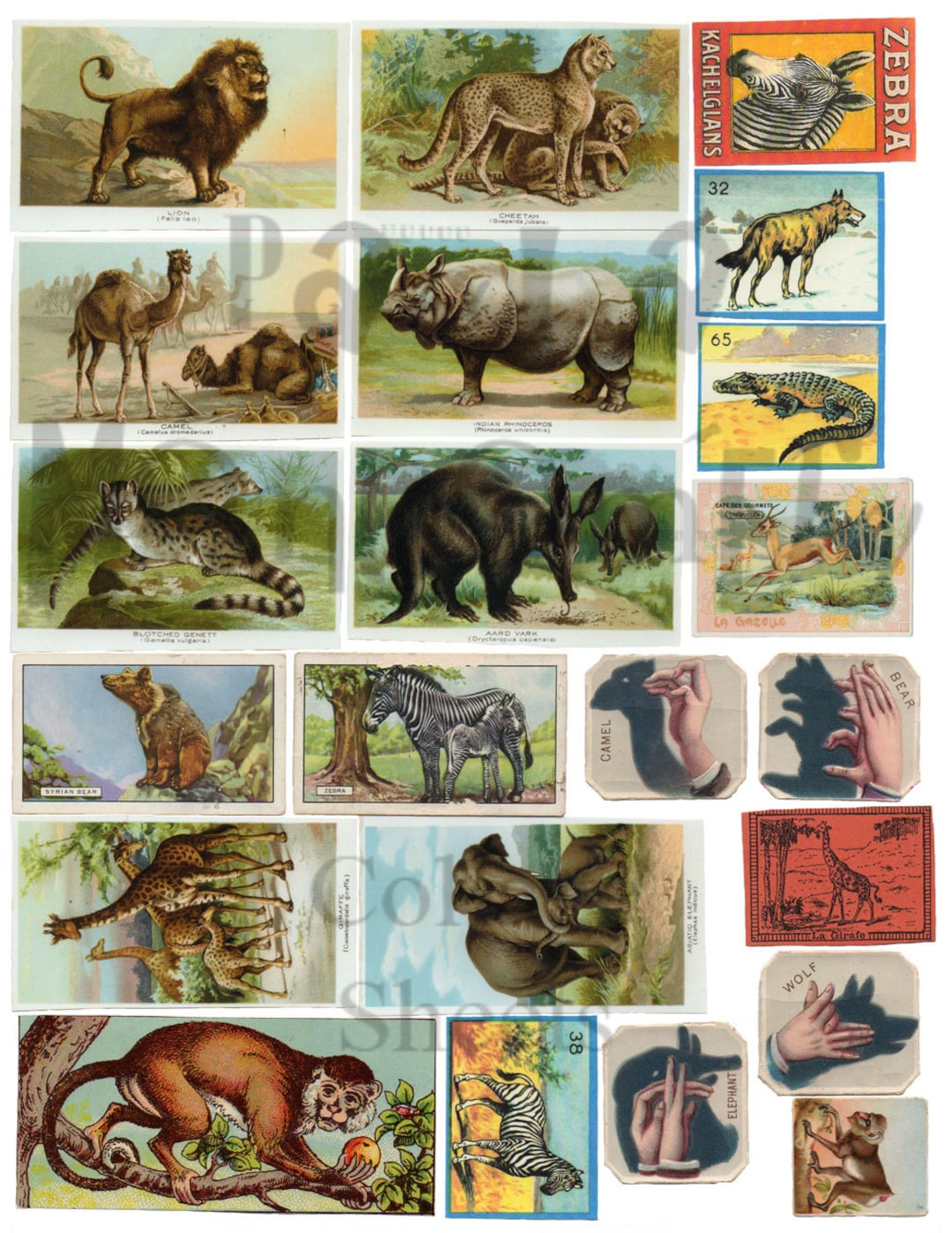 Wild Animals Number 2 Digital Download Collage Sheet - Etsy