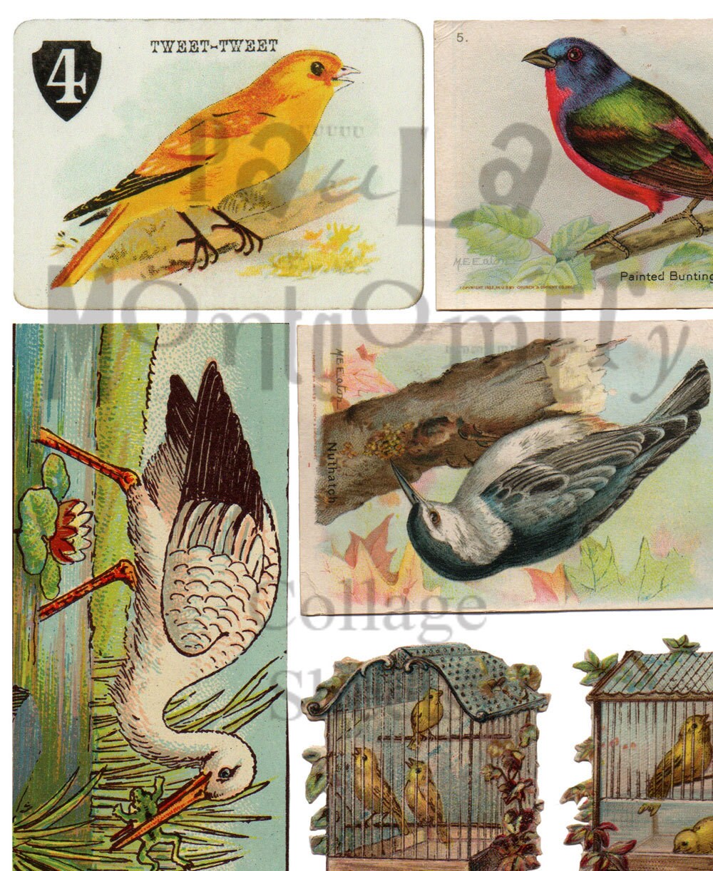 Birds Number 8 Digital Download Collage Sheet - Etsy
