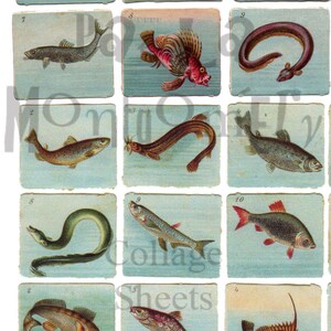 Fish Number 2 Digital Download Collage Sheet - Etsy