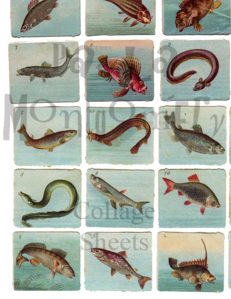 Fish Number 2 Digital Download Collage Sheet - Etsy