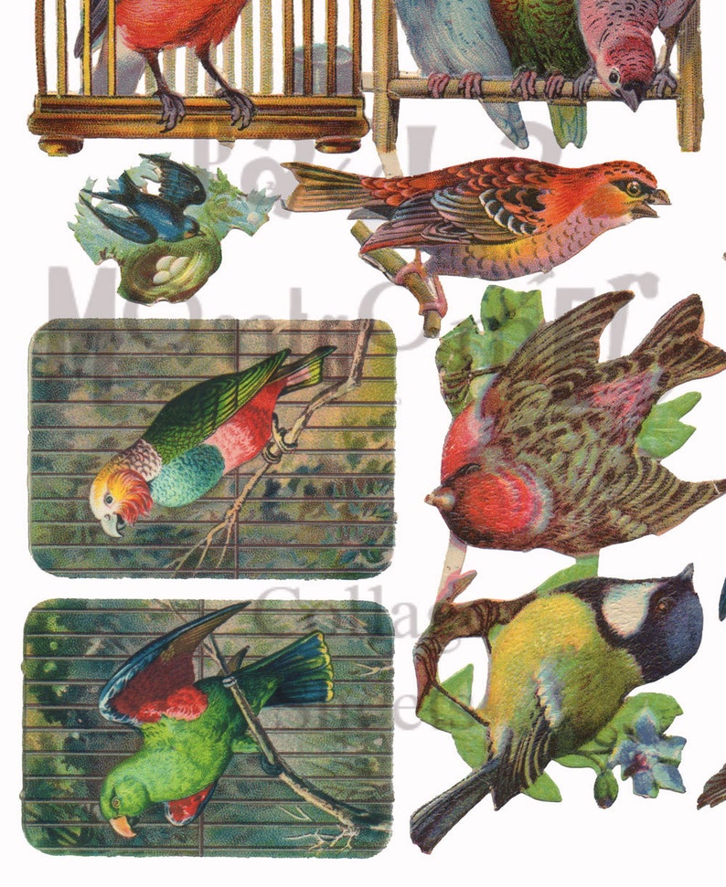 Birds Number 2 Digital Download Collage Sheet - Etsy