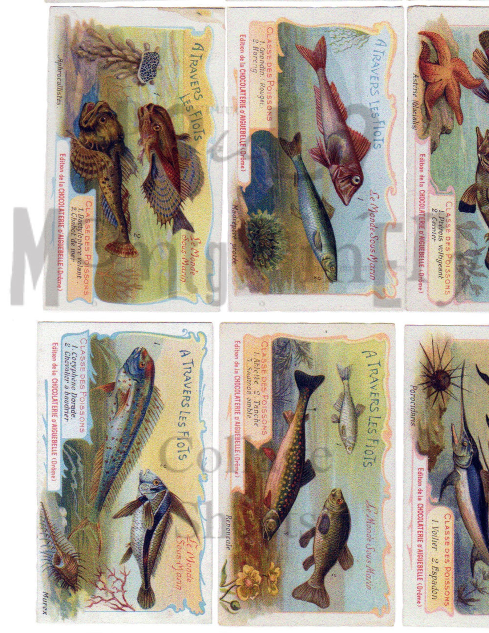 Fish Number 1 Digital Download Collage Sheet - Etsy