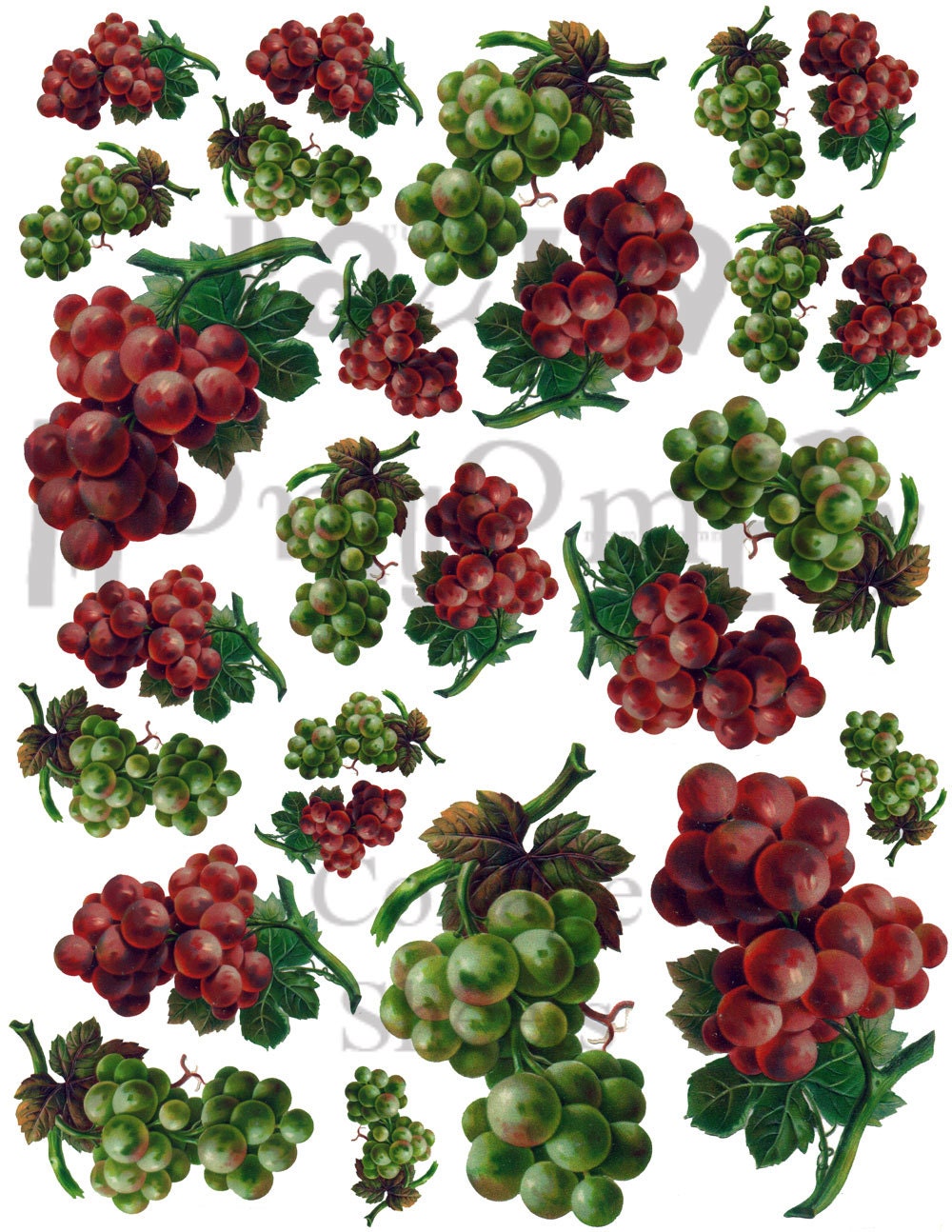 Grapes Digital Download Collage Sheet - Etsy