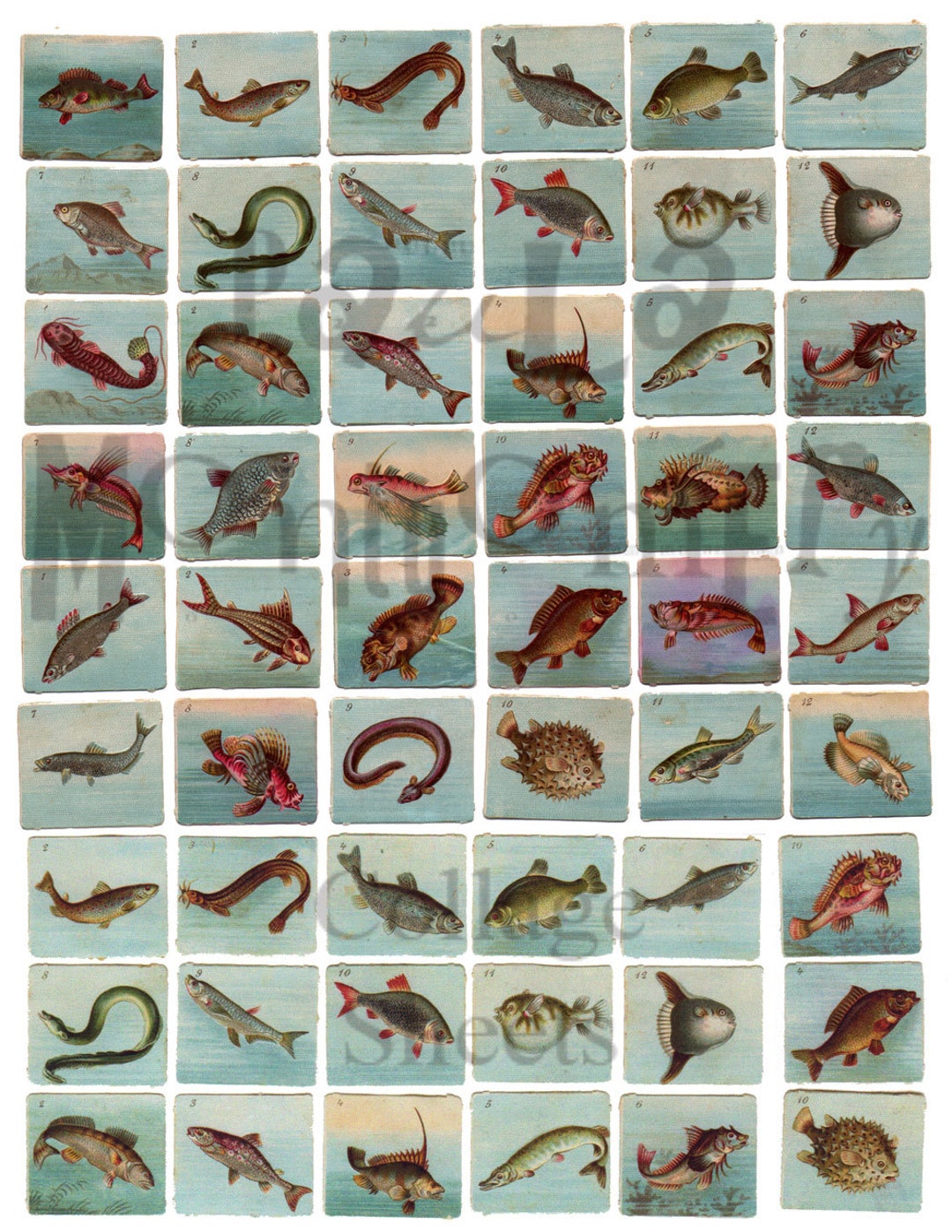 Fish Number 2 Digital Download Collage Sheet - Etsy