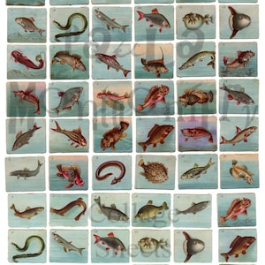 Fish Number 2 Digital Download Collage Sheet - Etsy