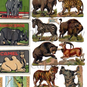 Wild Animals Number 1 Digital Download Collage Sheet - Etsy