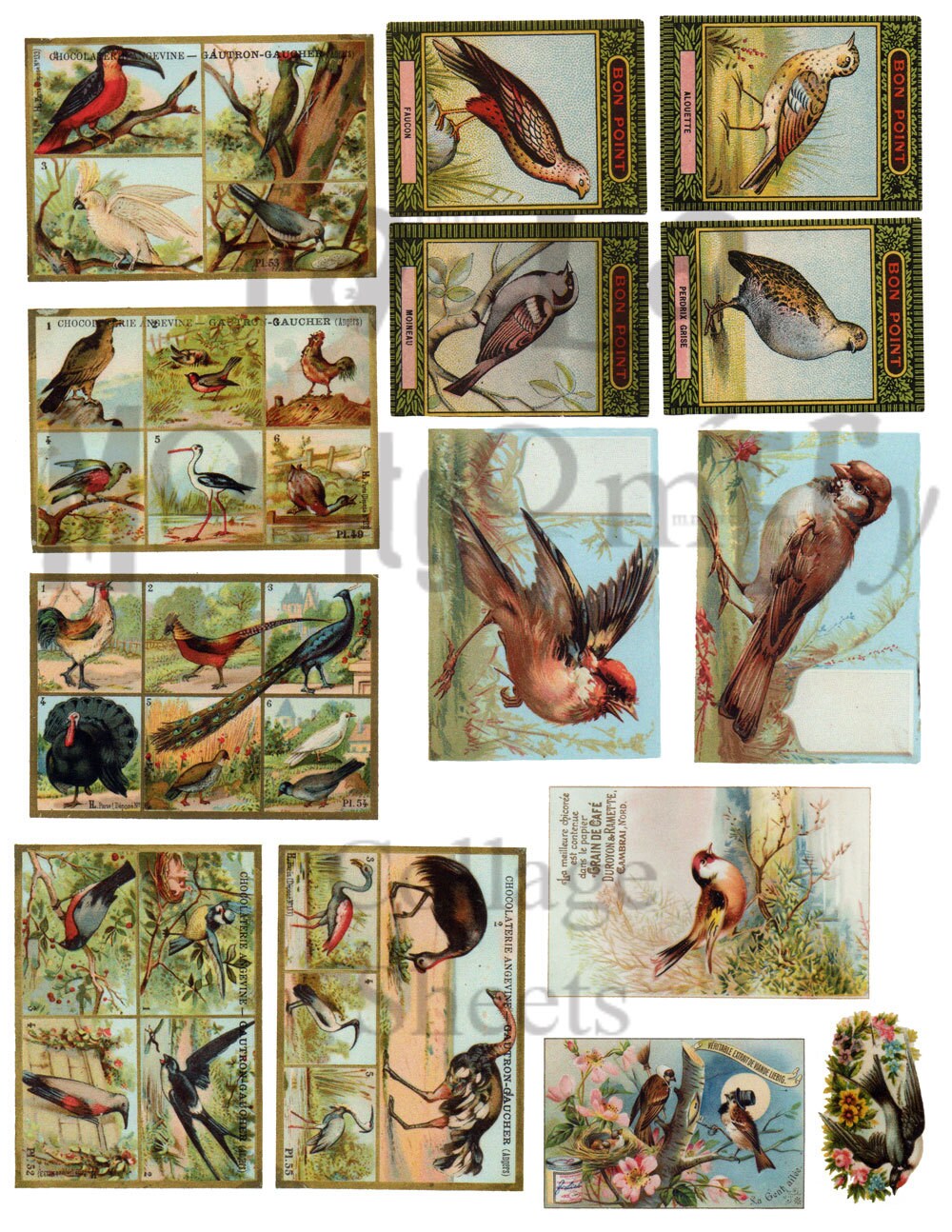 Birds Number 6 Digital Download Collage Sheet - Etsy