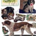 Dogs Number 2 Digital Download Collage Sheet - Etsy