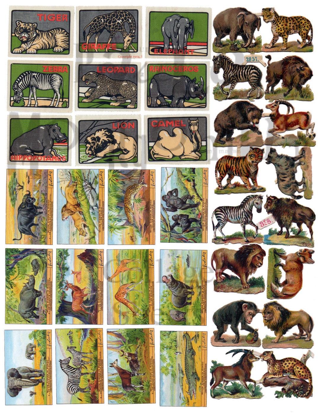 Wild Animals Number 1 Digital Download Collage Sheet - Etsy