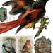 Birds Number 7 Digital Download Collage Sheet - Etsy