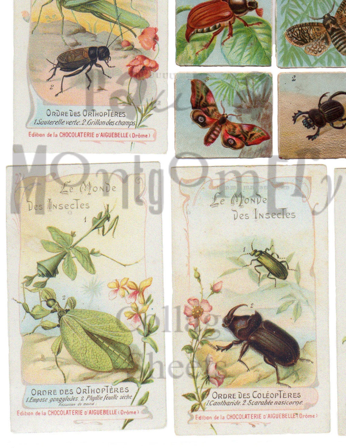 Insects Number 1 Digital Download Collage Sheet - Etsy