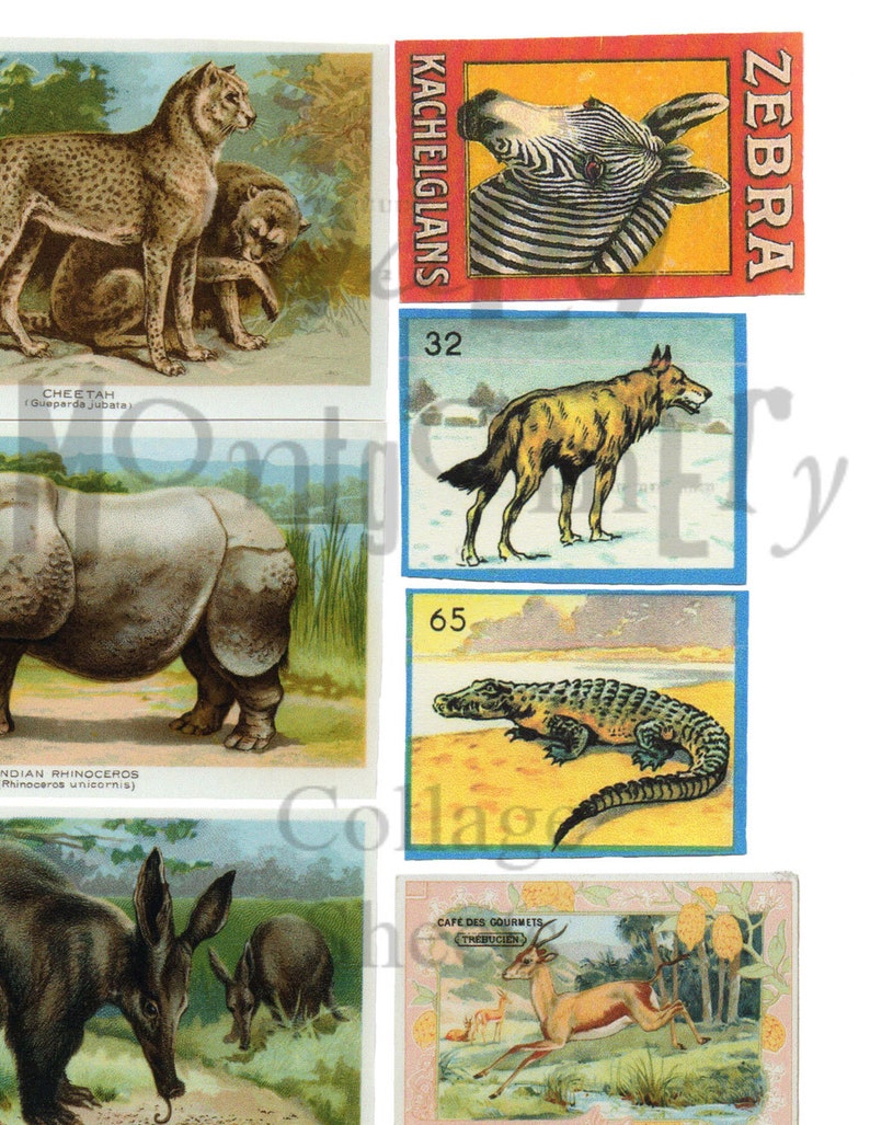 Wild Animals Number 2 Digital Download Collage Sheet - Etsy