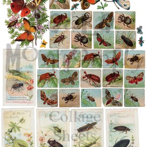 Insects Number 1 Digital Download Collage Sheet - Etsy