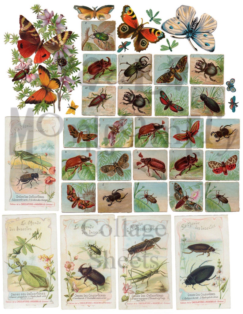 Insects Number 1 Digital Download Collage Sheet - Etsy