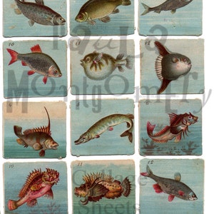 Fish Number 2 Digital Download Collage Sheet - Etsy