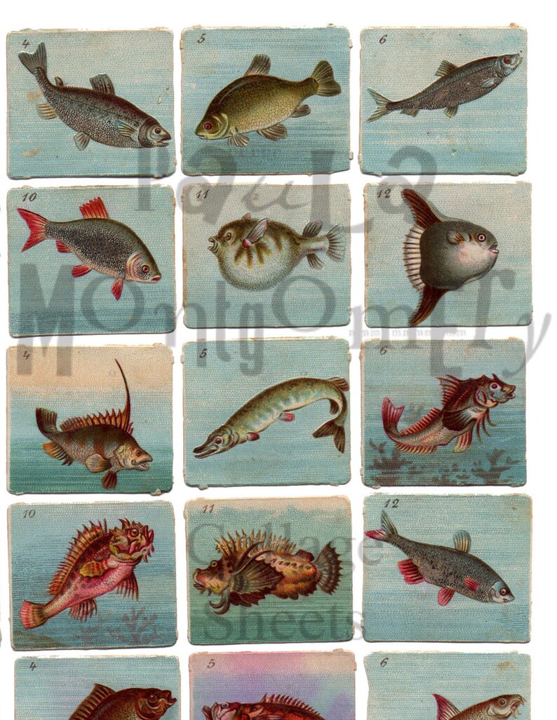 Fish Number 2 Digital Download Collage Sheet - Etsy