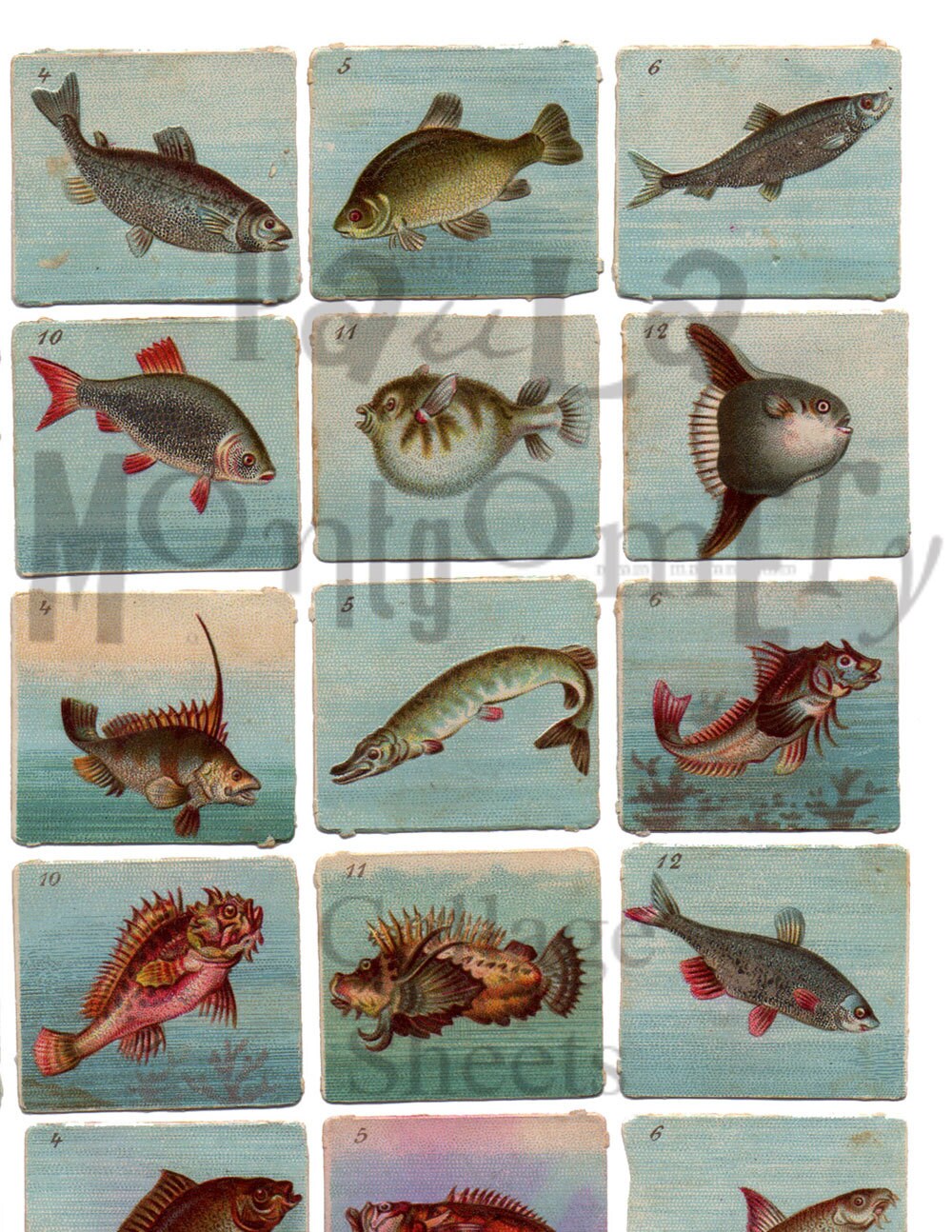 Fish Number 2 Digital Download Collage Sheet - Etsy