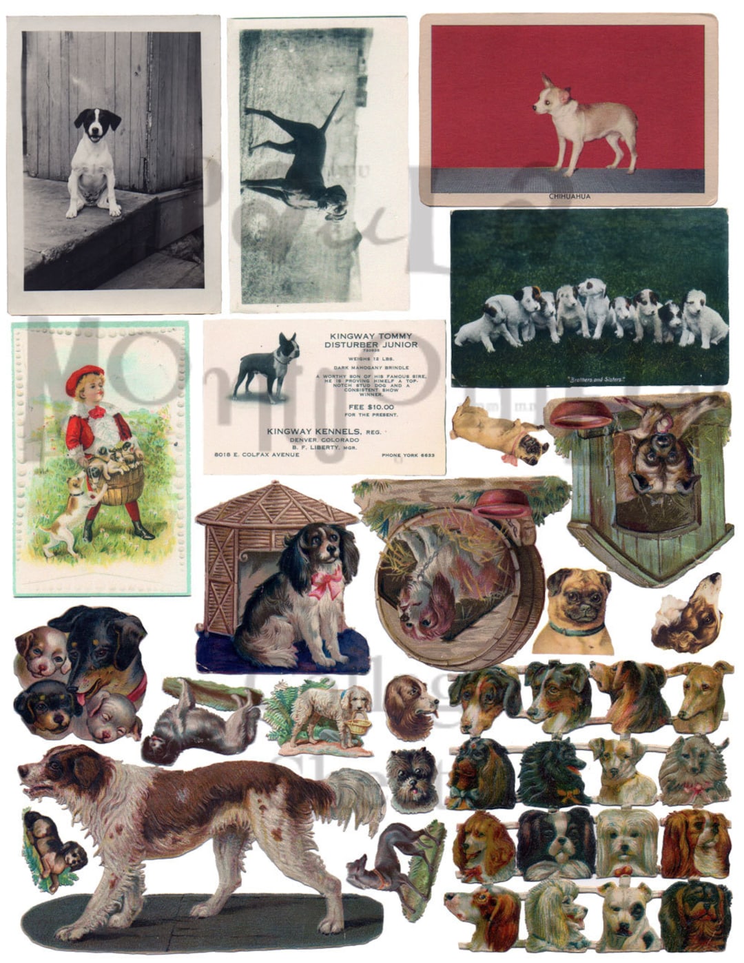 Dogs Number 2 Digital Download Collage Sheet - Etsy